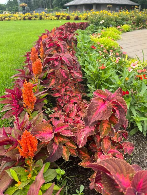 Can A Minnesota Governor Be Impeached? - NewsBreak