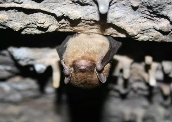 Buying Montana Fishing Licenses In-Person Made Easier Again - NewsBreak