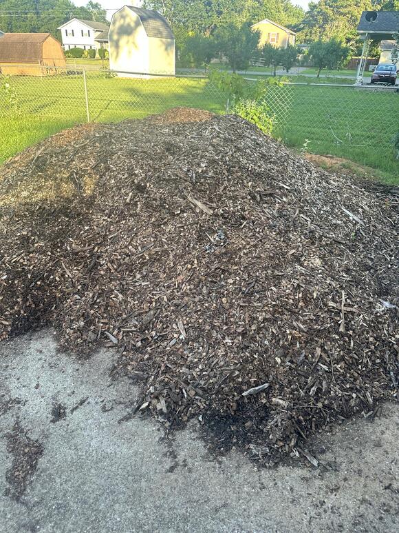 🎁 Freebies Up for Grabs in Smyrna — Clothes, Mulch & More - NewsBreak