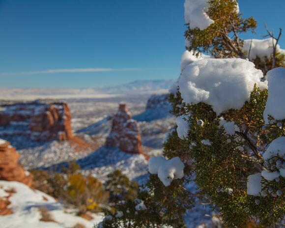 Winter At The Colorado National Monument - NewsBreak