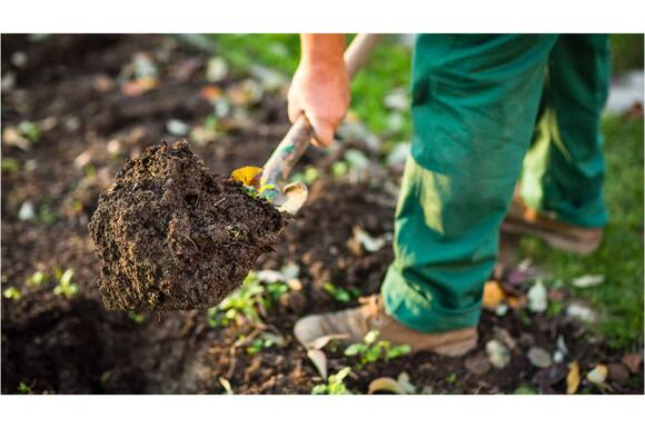 Top Water-Saving Gardening Tips That Benefit Local Wildlife - NewsBreak