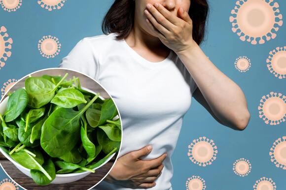 40 types of spinach products recalled due to traces of deadly listeria ...
