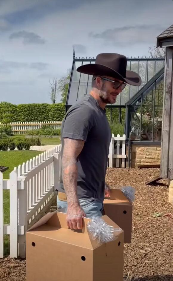 David Beckham, 51, Receives a Very Unexpected Gift from Victoria ...
