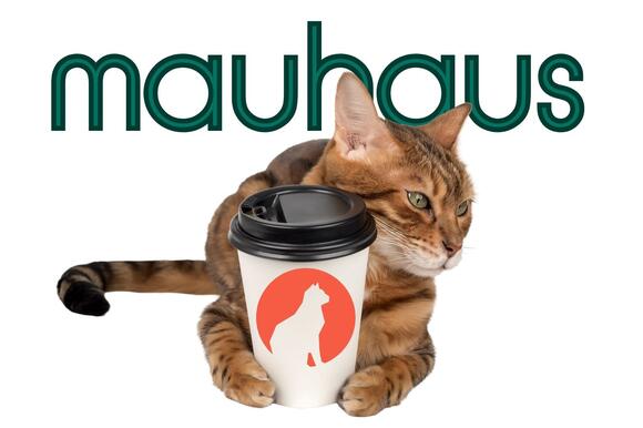 Why Cat Lovers Are Flocking to Missouri’s Mauhaus Café - NewsBreak