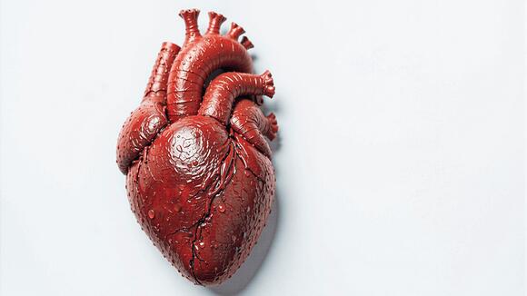 People Are Asking Why They Have Never Heard Of Heart Cancer - NewsBreak