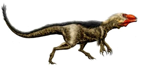 The Complete List of Every U.S. State Dinosaur and Fossil - NewsBreak