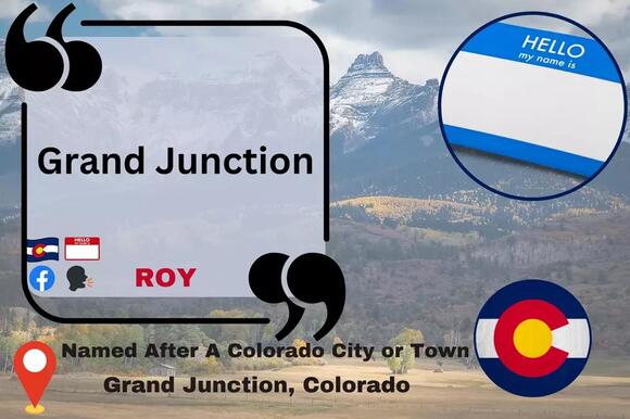 Trending Pet Names in Colorado: 2025’s Most Popular Picks - NewsBreak