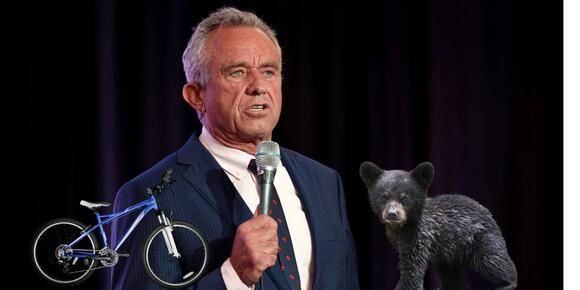 Cub Your Enthusiasm: In RFK Jr.’s bear story, a plot worthy of Larry ...