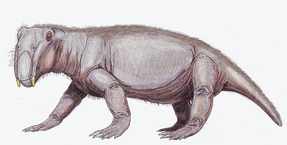 Dino Neighbors: The Strangest Creatures Living Alongside Early ...