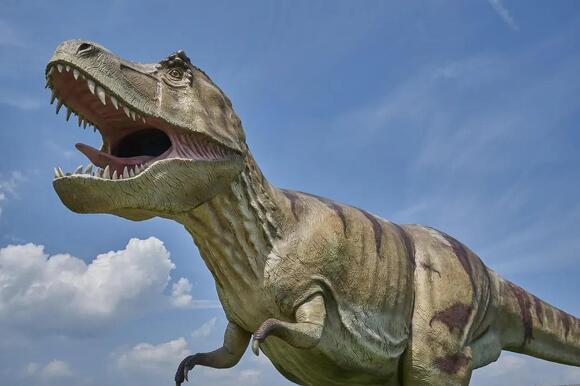 Dinosaur Migration Patterns Were More Sophisticated Than We Thought ...