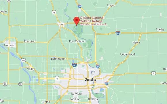 Why Can't You Keep Crows As Pets In Iowa? - NewsBreak