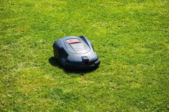 Is It Illegal to Blow Grass Into the Street in Texas? - NewsBreak