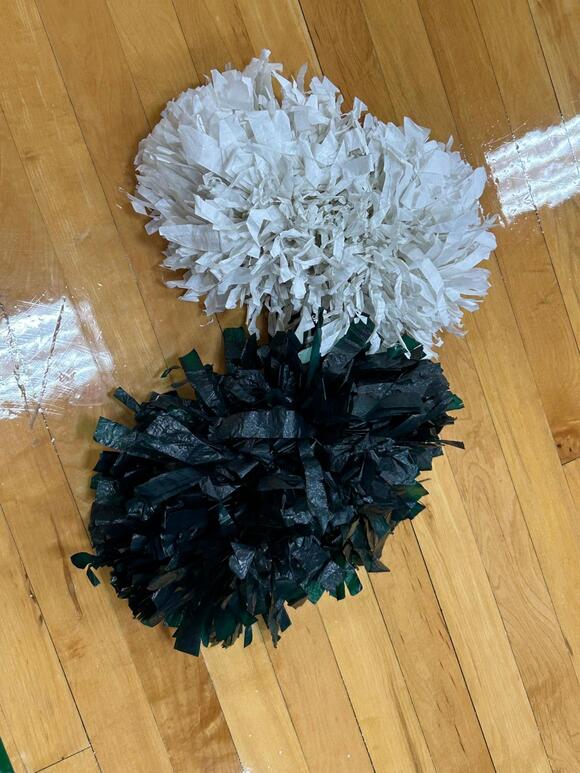 MPA Class C North and South Cheering Championships [RESULTS] - NewsBreak