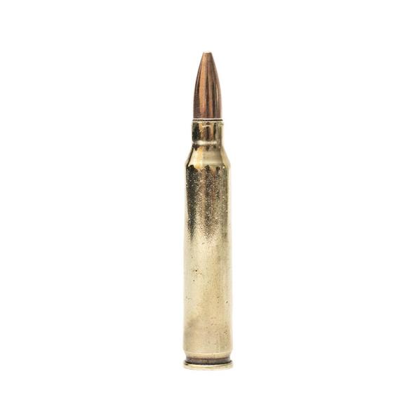 5 Home Defense Rounds That Serious Shooters Trust - NewsBreak