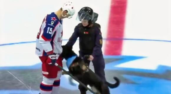 Dog Attacks Hockey Player – Police K-9 Tries Biting Off KHL Superstar’s ...