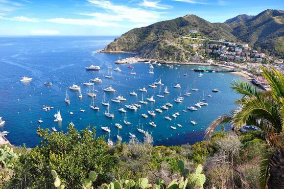 16 US Islands You Can Rent for Private Parties - NewsBreak