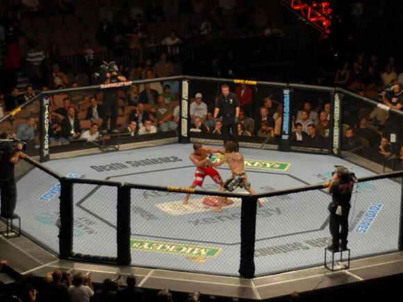 10 UFC, MMA Fighters Who Retired With Unbeaten Records Including Khabib ...