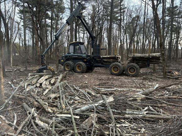 Thousands of dead or dying trees removed from Irvine Park - NewsBreak