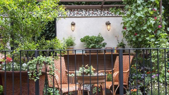 Patio Plants That Practically Look After Themselves – 5 Easy Flowers ...