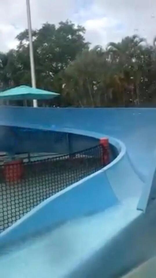 Florida woman sues SeaWorld after another person ‘violently’ collided ...