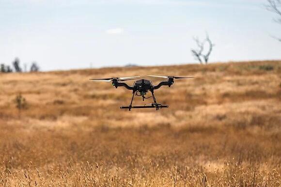 The Threat of Poaching and What is Being Done to Combat It - NewsBreak