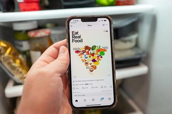 New Food Pyramid Vs. The Old: Complete Comparison Guide For 2026 ...
