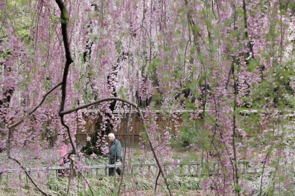 The Ultimate 2026 Guide to AAPI Heritage Month in NYC - NewsBreak