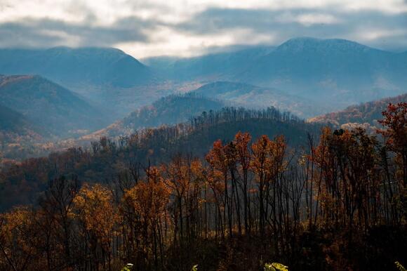 Where was Ann Houghton found? Community mourns as Great Smoky Mountains ...