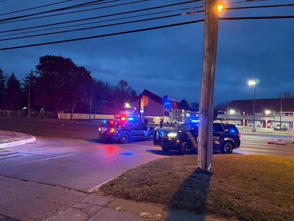 Man hit and killed by car while trying to cross Little Mack Ave. in ...