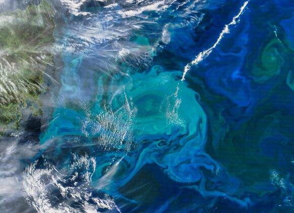 Underwater earthquakes can trigger massive phytoplankton blooms - NewsBreak