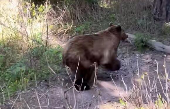 “We’re Gonna Die”: Hikers Have Incredibly Close Call With Two Young ...