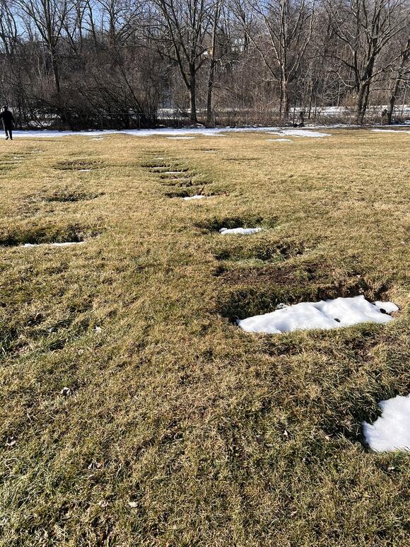 Advocates demand answers as graves collapse at a Milwaukee County ...