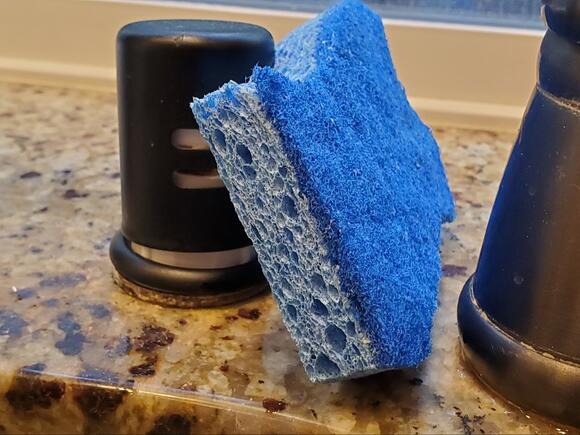 Are Sponges Gross Or Just Misunderstood? Food Safety Experts Weigh In ...