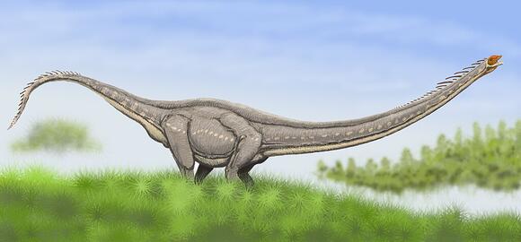 Did Dinosaurs Sleep Standing Up or Lying Down? - NewsBreak