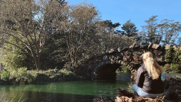 Golden Gate Park Safety in 2025: What Visitors Need to Know About ...