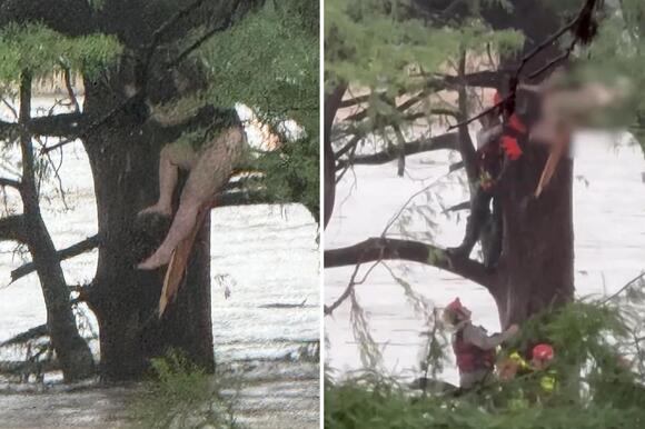 Woman found clinging to tree branch, screaming for help after being ...