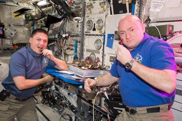 How The ISS Became A Symbol Of Global Cooperation In Space - NewsBreak