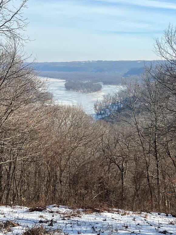 FDA Announces Tuna Recall in Illinois and Wisconsin - NewsBreak