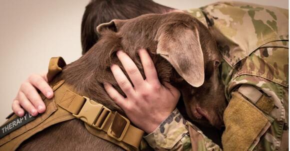 The Most Common Types of Emotional Support Dogs
