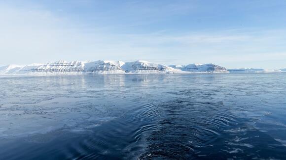 Plan to Sink Boreal Trees In The Arctic Could Lock Away Massive CO2 ...