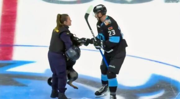 Dog Attacks Hockey Player – Police K-9 Tries Biting Off KHL Superstar’s ...