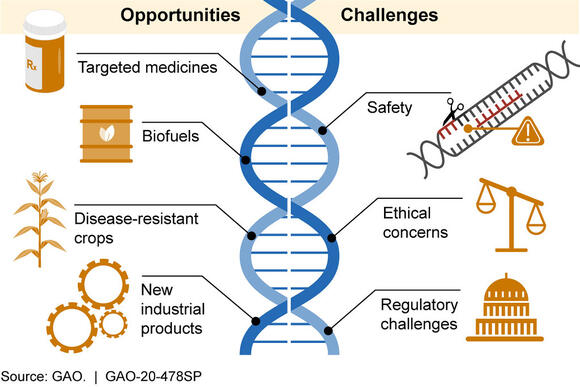 Gene Editing Gone Wrong: What Happens When CRISPR Makes a Mistake ...
