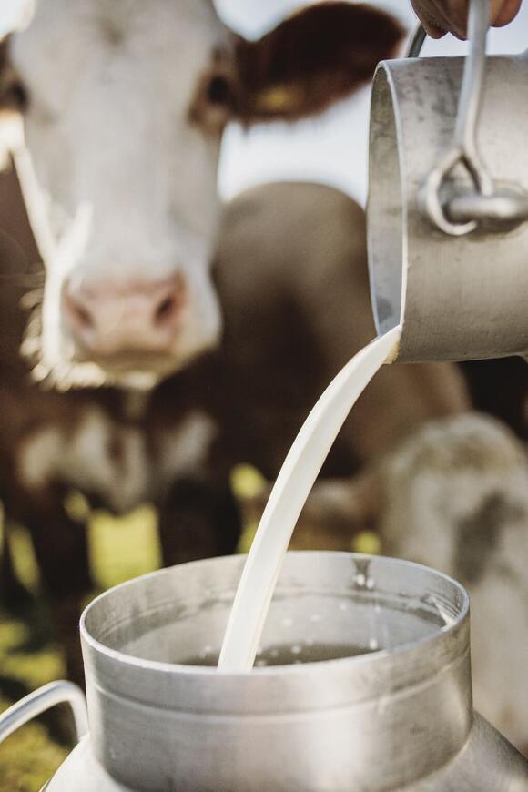 OHA Issues raw milk advisory - NewsBreak