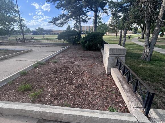 Memorial Park is getting a fresh start after losing the rose beds ...