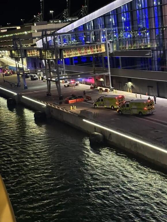 Fight forces Royal Caribbean cruise ship to turn around and go back to ...
