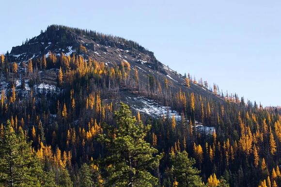 Exploring The Hidden History Of Blewett Pass Road - NewsBreak