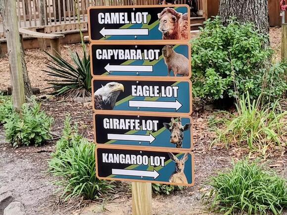 Northfield NJ Restaurant Delished French Onion Soup - NewsBreak