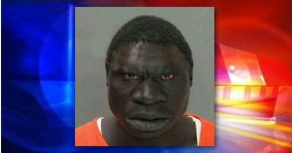 Zookeeper arrested after trying to molest 500-pound male gorilla ...