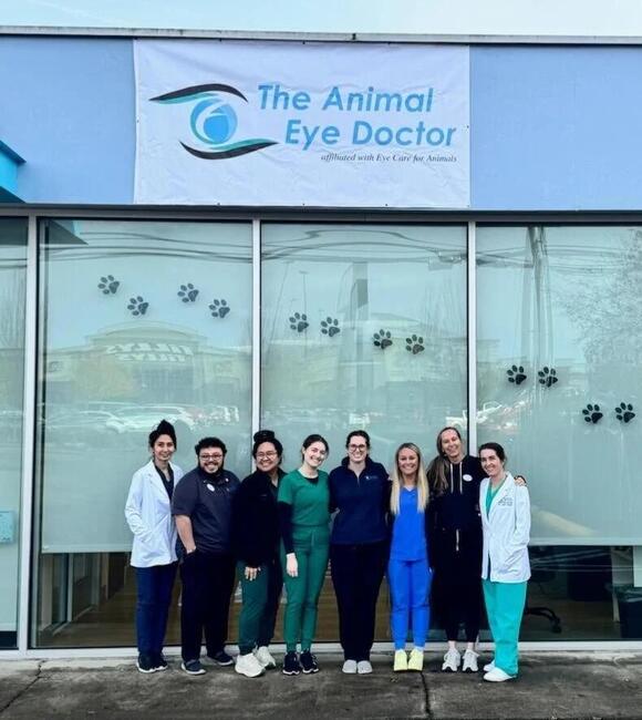 With an eye toward pet health, Beaverton's Animal Eye Doctor moves to ...