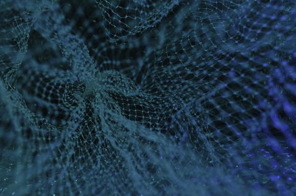 Machine Learning Algorithms for Analyzing Biodiversity in Remote ...